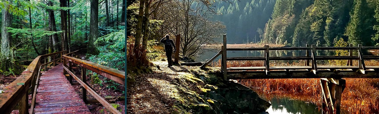 Friday Trail Feature - The Brohm Lake Interpretive Forest | Tourism ...