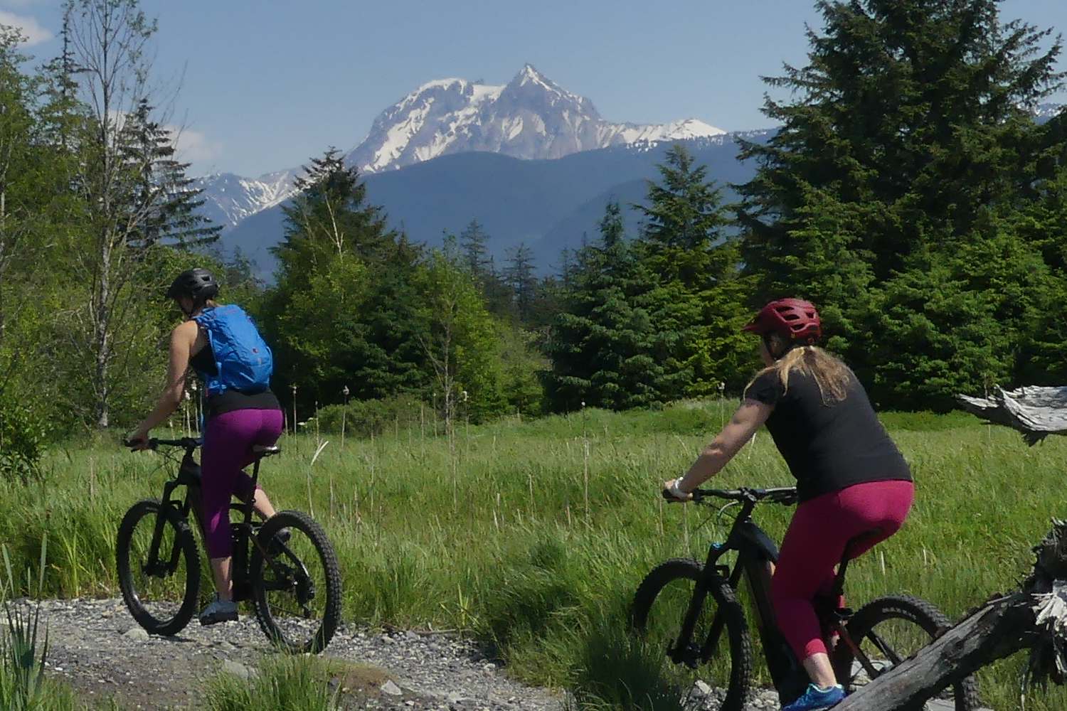 Mountain Biking 101: Top Squamish Trails and More | Tourism Squamish